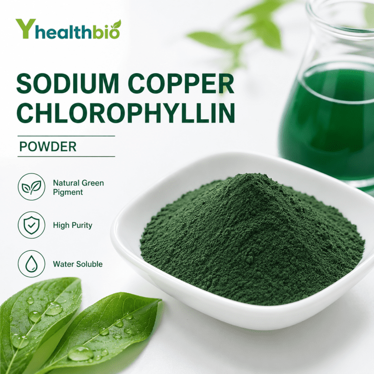Sodium Copper Chlorophyllin Powder: The Water-Soluble Green Ingredient ...